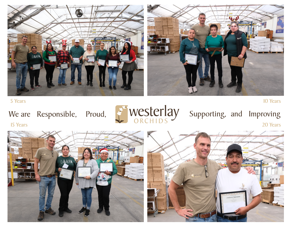 Westerlay Orchids Holiday Lunch 2023